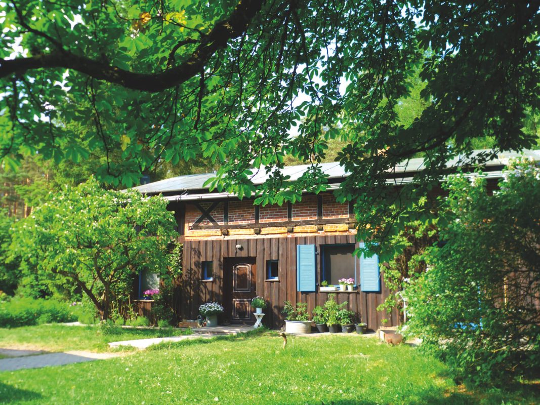 WW336: Rehe, Wölfe und ein Traum vom Leben im Wald – mit Franziska und ...