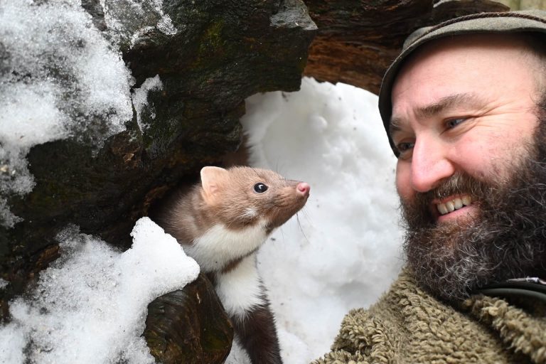 WW407: Der mit den Waldtieren spricht – mit dem “Woid Woife” Wolfgang ...